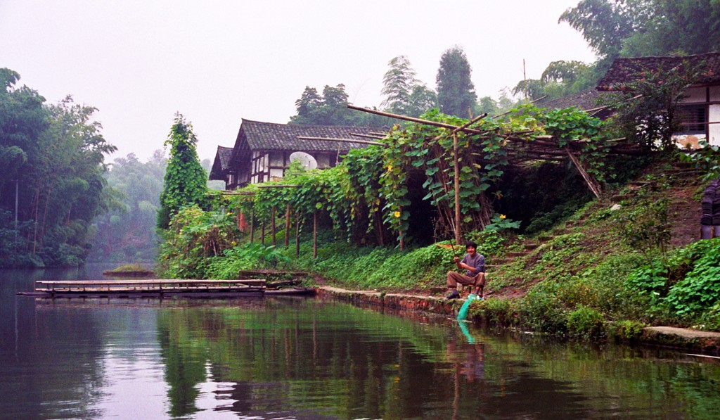 Shunan Bamboo Sea: Taking a Chinese organised tour - Holachina.com